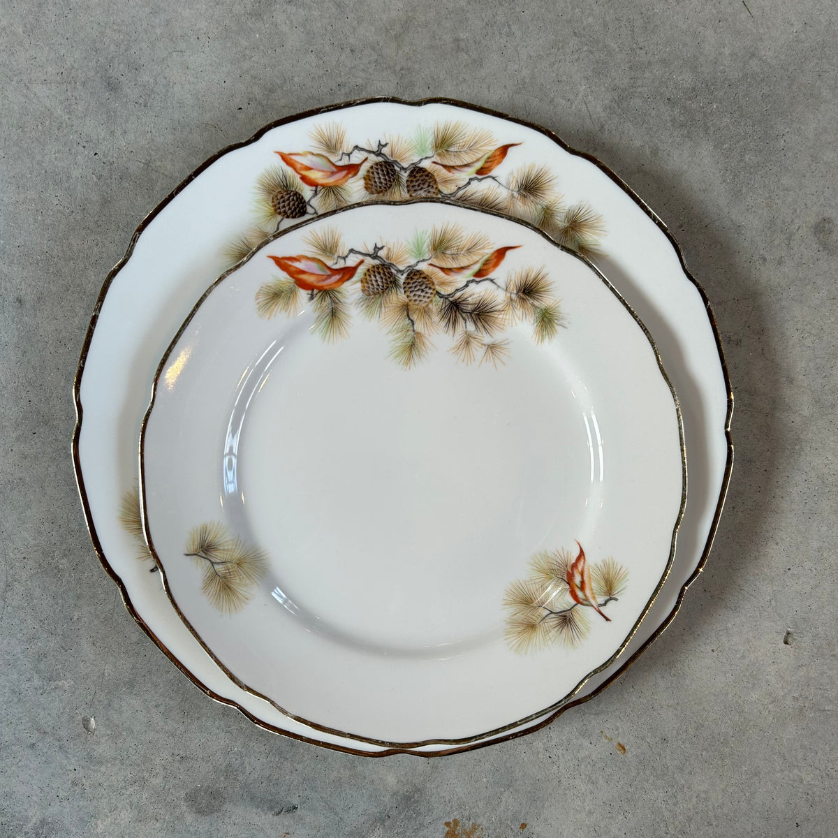 Vintage Pine Tree Translucent Dinnerware Set– Linen + Lore Home