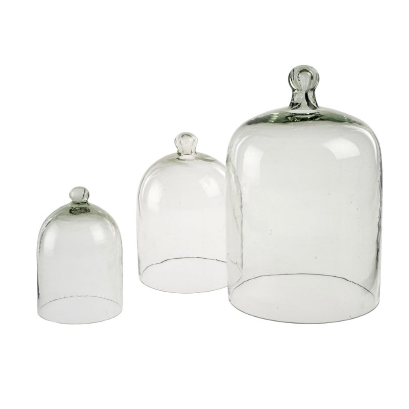 Glass Cloche– Linen + Lore Home
